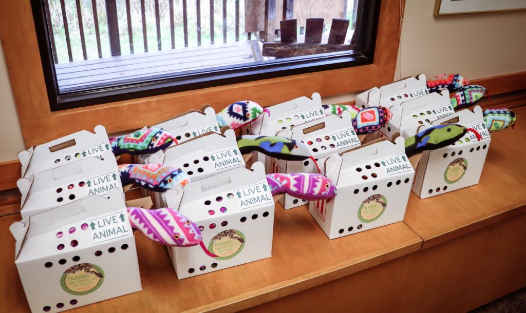 Take Your Next Birthday Party From Ordinary to Extraordinary- A Snake ...