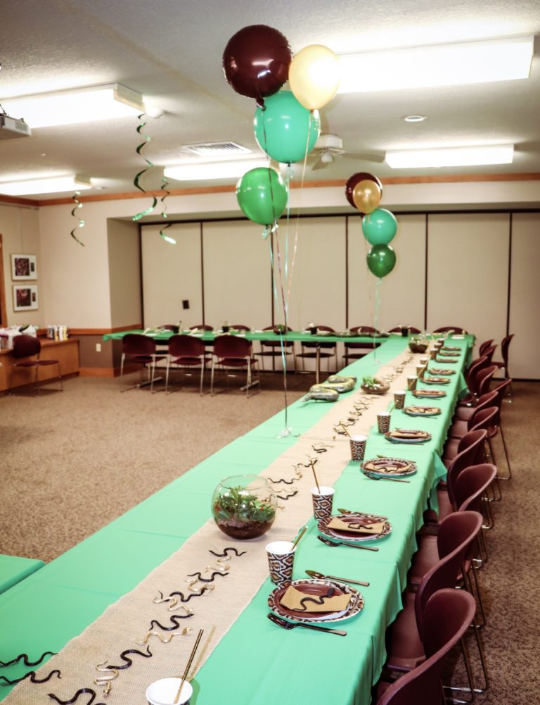 Take Your Next Birthday Party From Ordinary to Extraordinary- A Snake ...