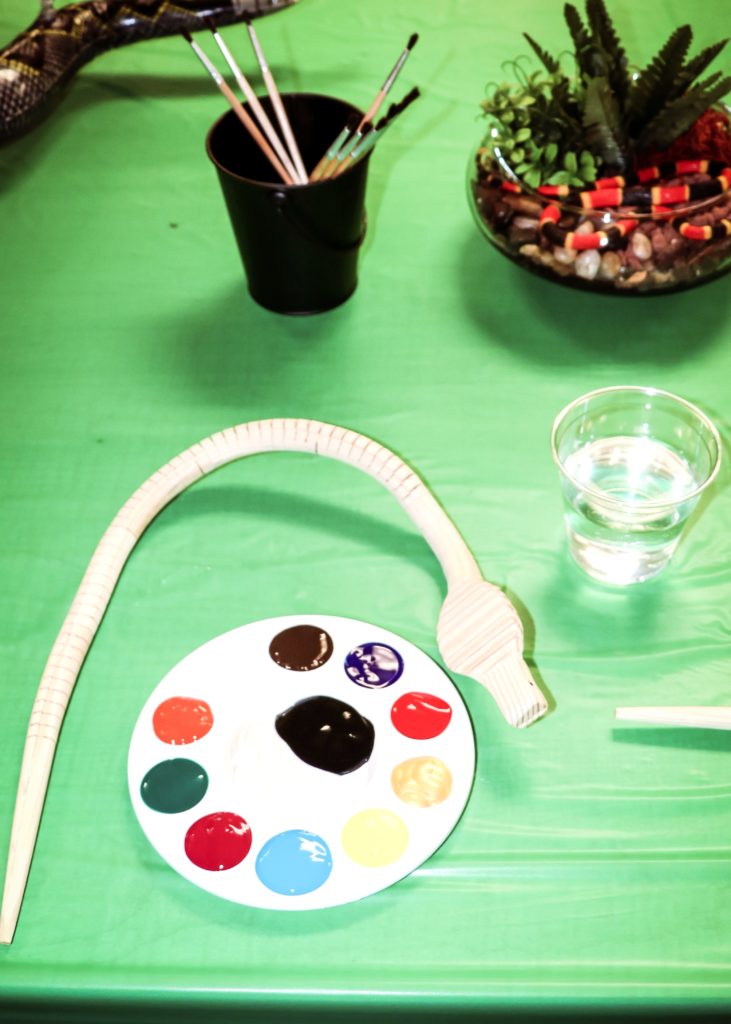 Take Your Next Birthday Party From Ordinary to Extraordinary- A Snake ...