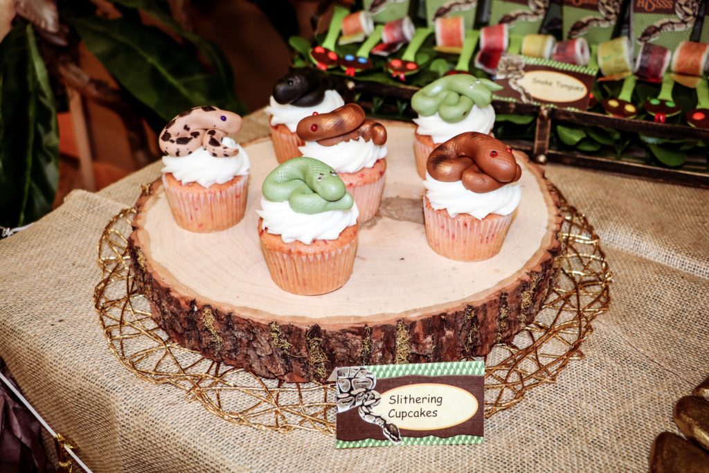 Take Your Next Birthday Party From Ordinary to Extraordinary- A Snake ...