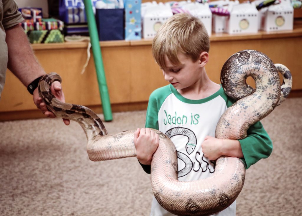Take Your Next Birthday Party From Ordinary to Extraordinary- A Snake ...