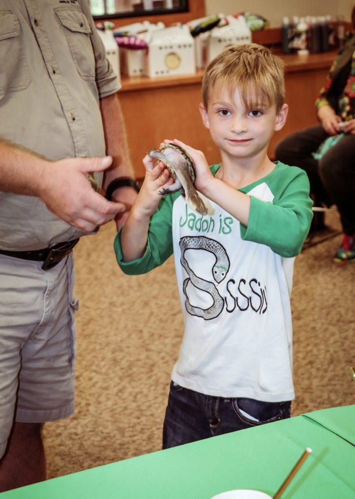 Take Your Next Birthday Party From Ordinary to Extraordinary- A Snake ...