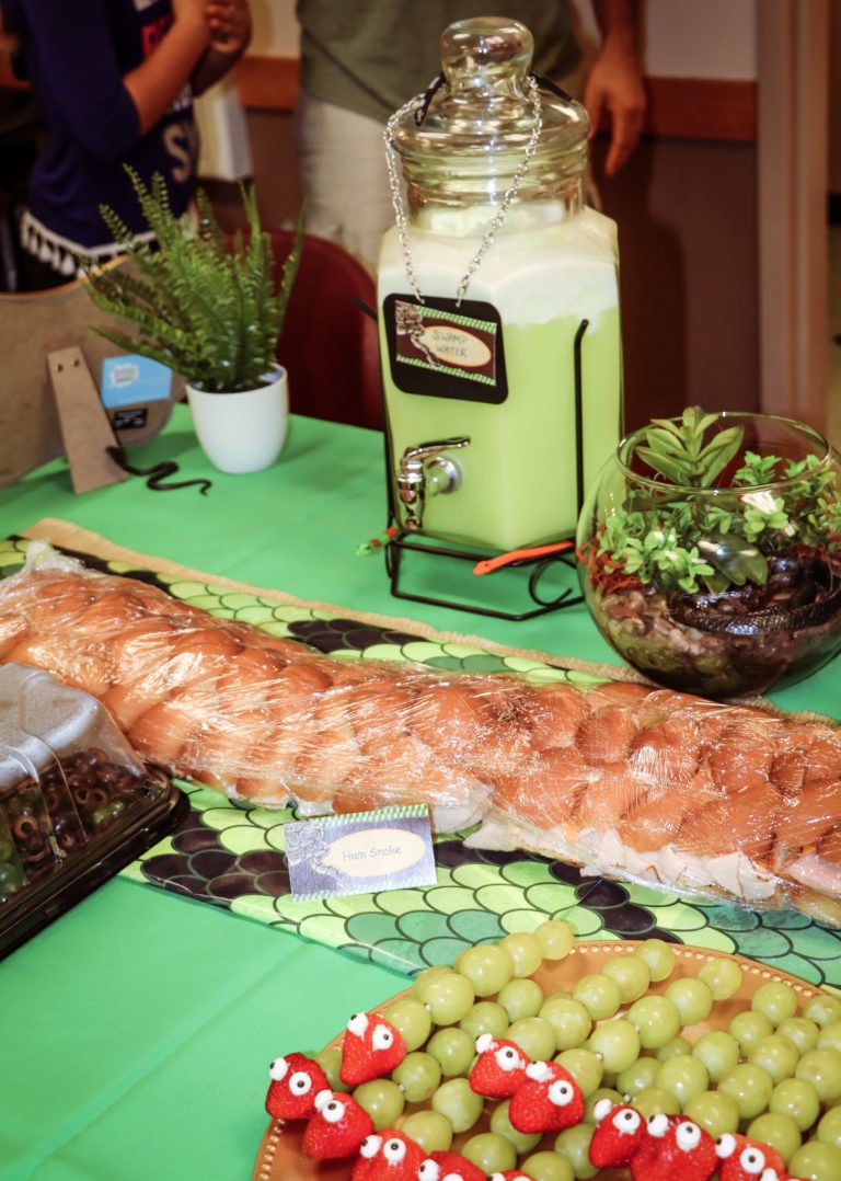 Take Your Next Birthday Party From Ordinary to Extraordinary- A Snake ...