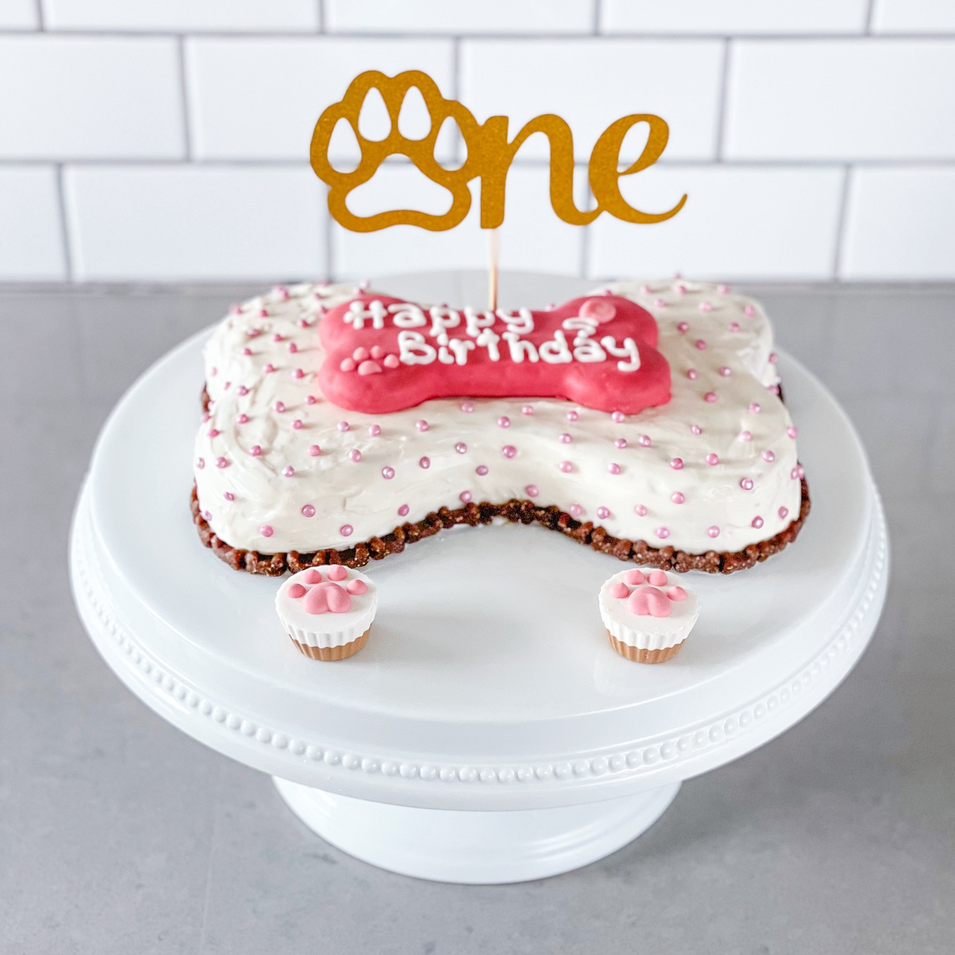 How to Create a Dog Birthday Cake Smash Photo Session